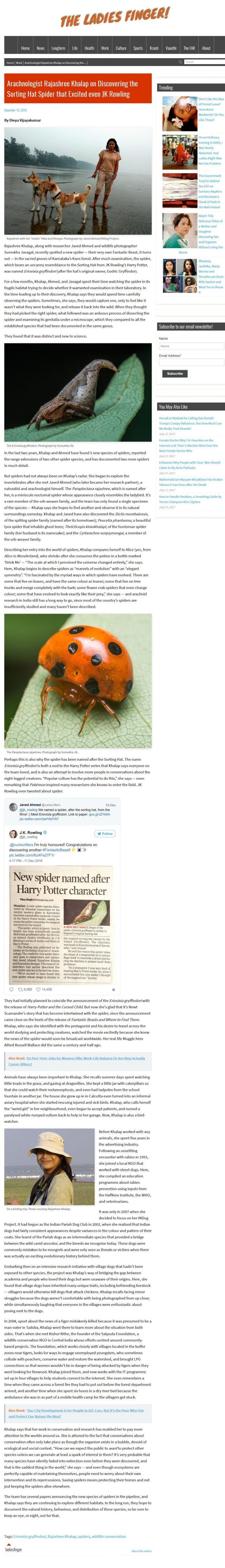 Article on the Sorting Hat Spider and INDogs – The Ladies Finger ...